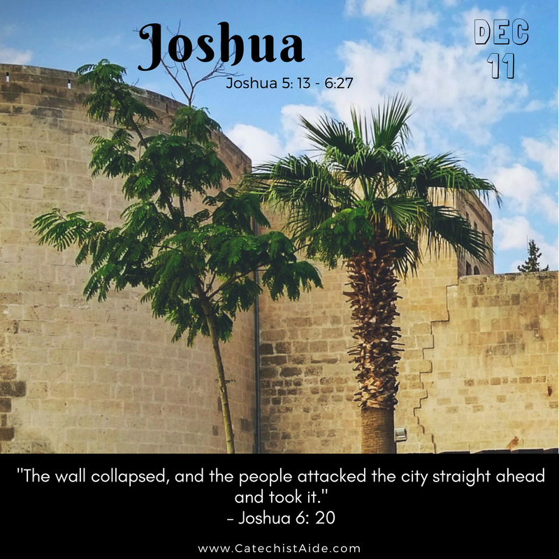 Jesse Tree December 11 - Catechist's Aide